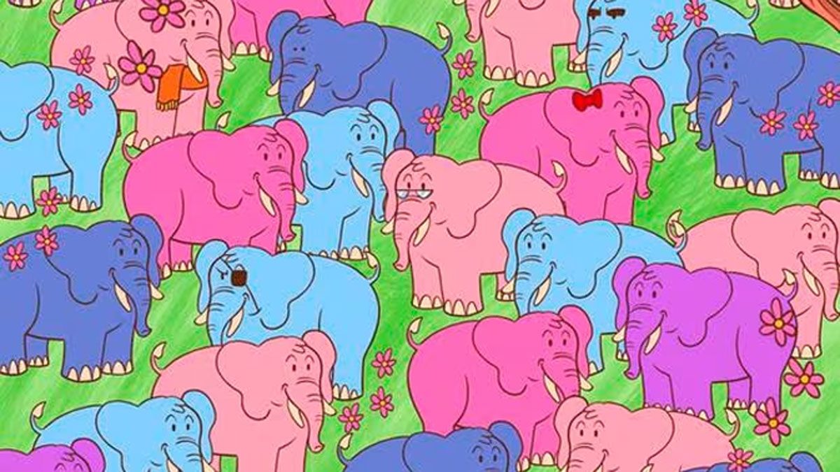 Sólo un GENIO con vista de HALCÓN puede encontrar el CORAZÓN oculto en ...