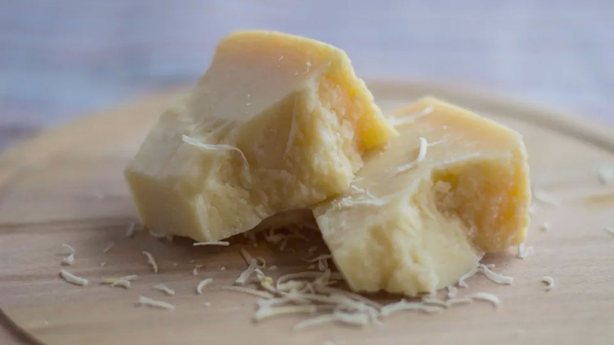 Receta de queso parmesano casero en simples pasos