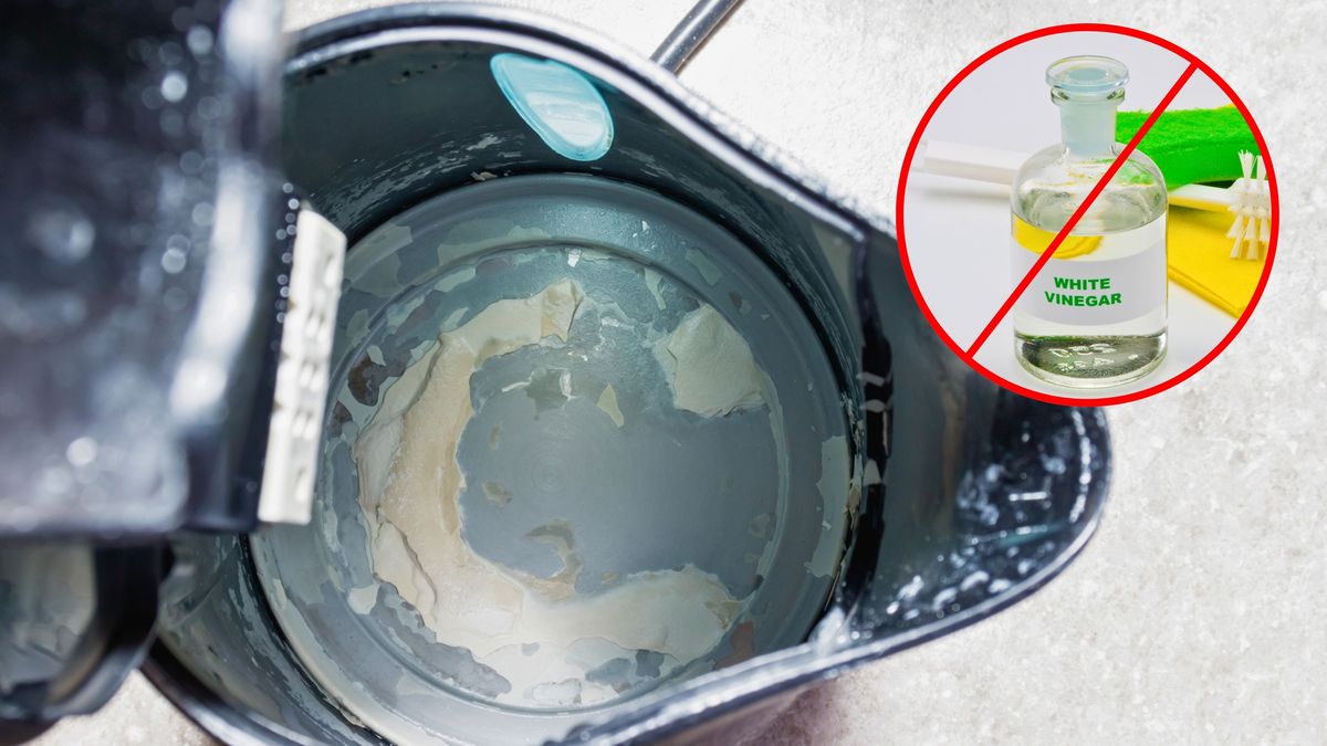 Con un truco casero y sin vinagre: realiza una limpieza profunda y ...