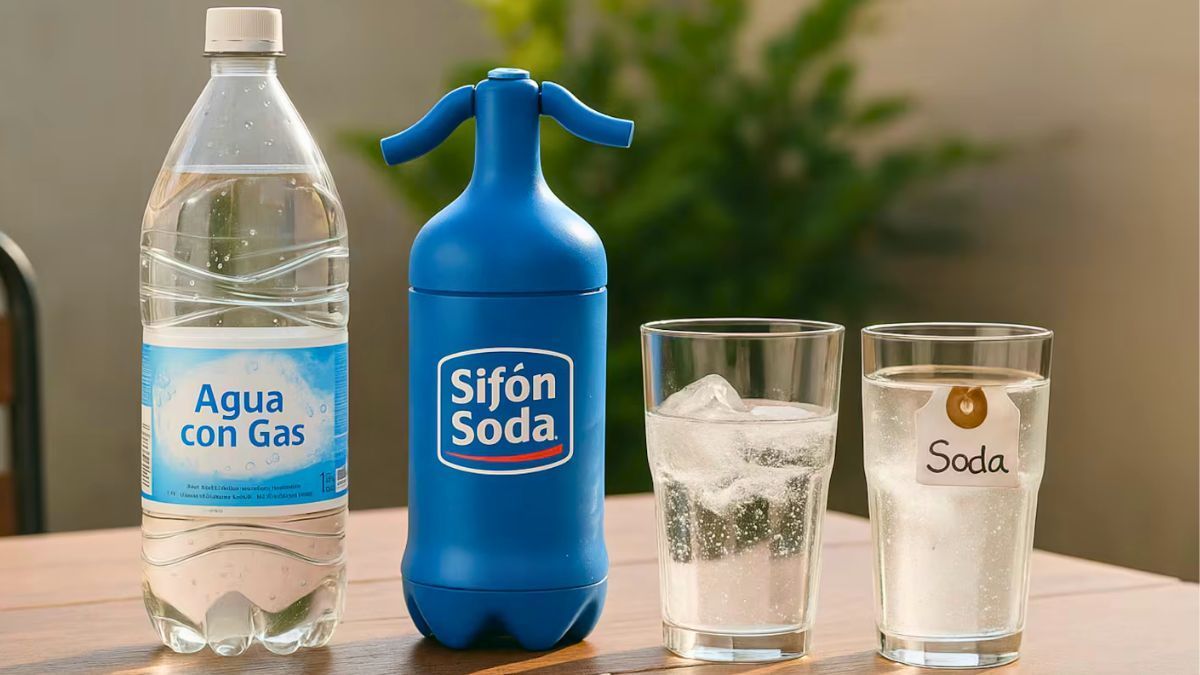 Pocos lo saben: ¿cuál es la verdadera diferencia entre soda y agua con gas?