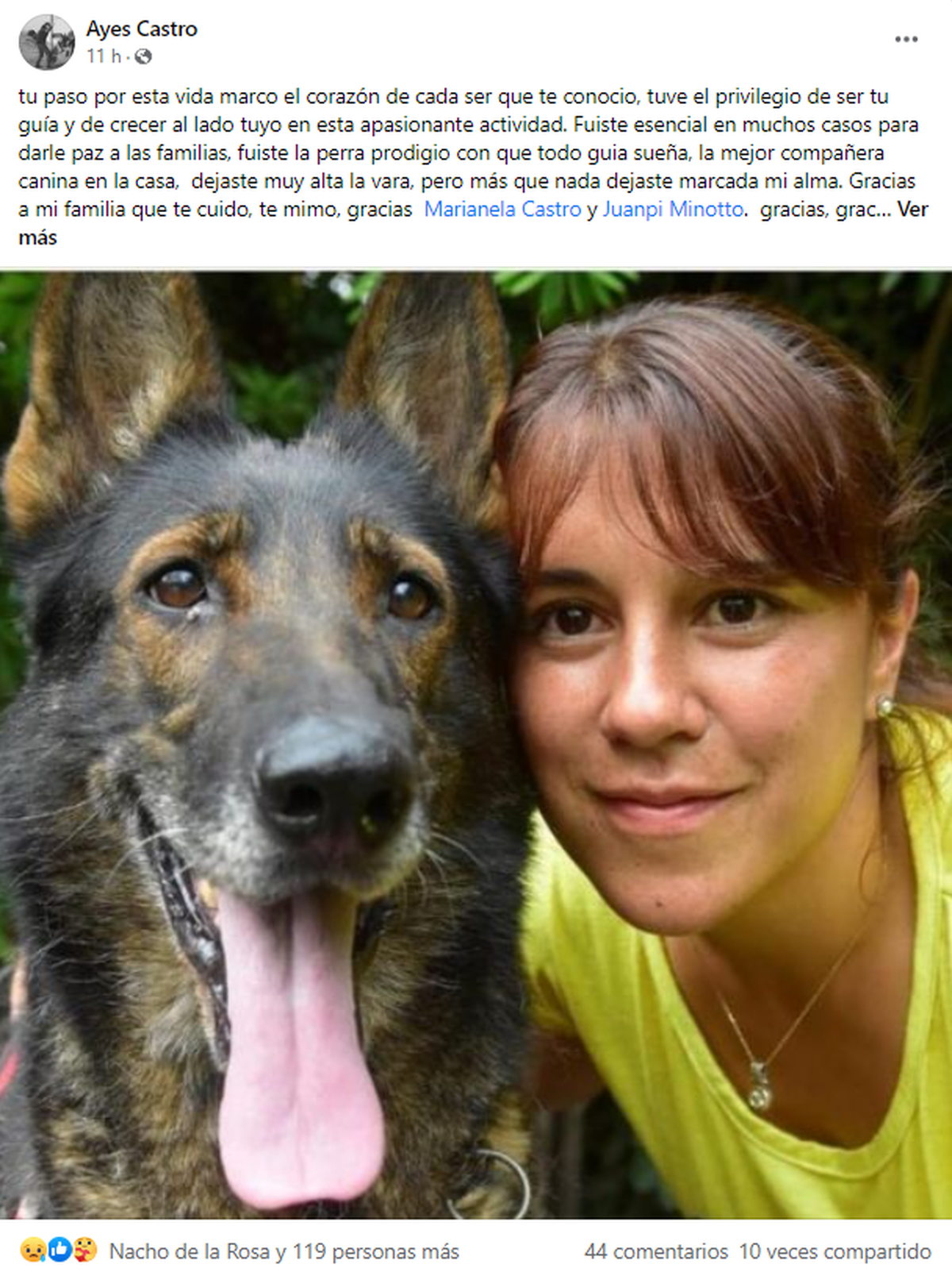 Murió Ruca, la perra que ayudaba en el descubrimiento de crímenes en ...