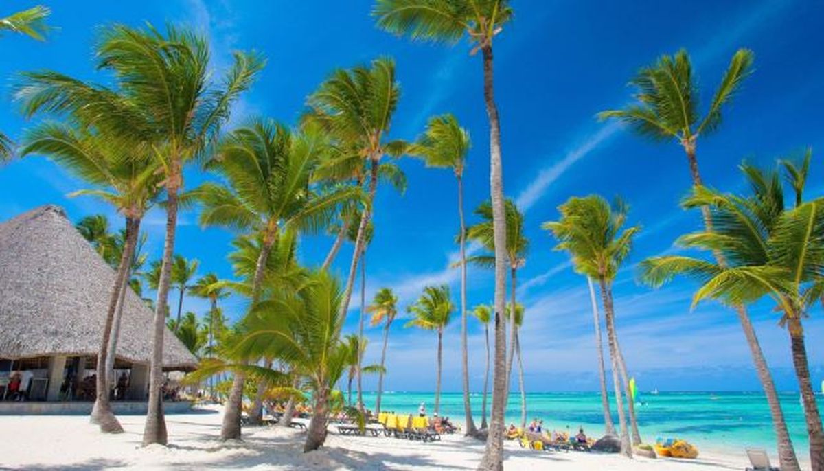 Empresa dominicana avisó que por semana hará 3 vuelos directos entre ...