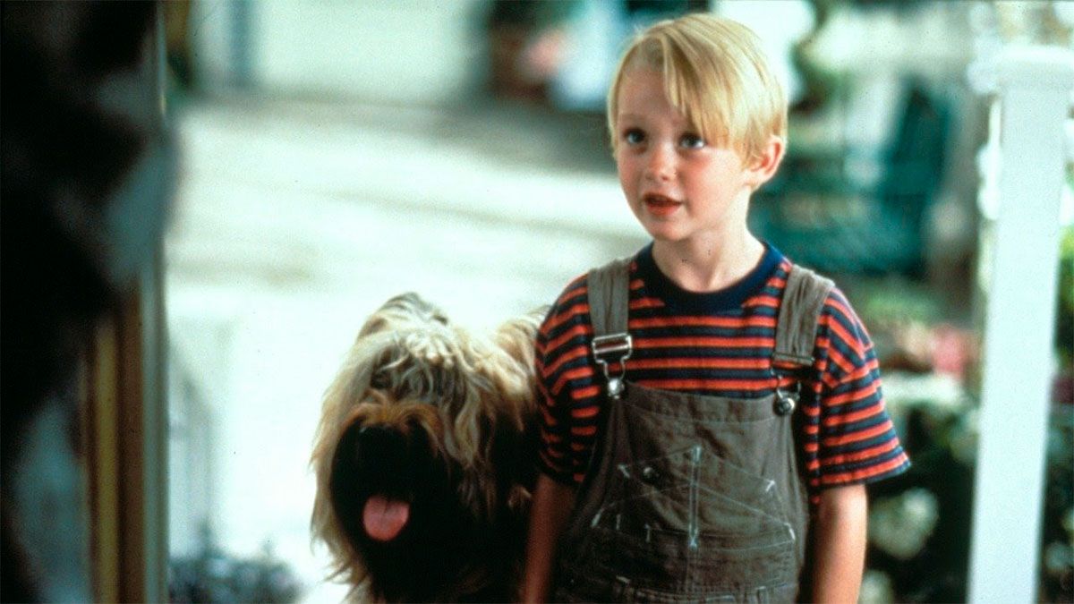 A 30 años de su estreno, así luce el exactor Mason Gamble de Daniel el ...