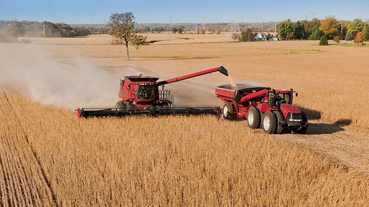 Importante suba en la liquidación de divisas del agro