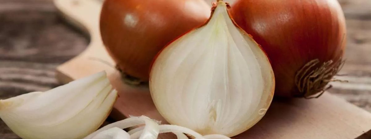 Beneficio de comer cebolla, ideal para los hipertensos