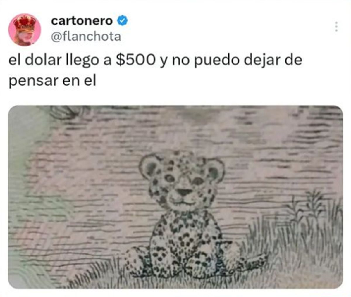 Los memes por el aumento del dólar blue