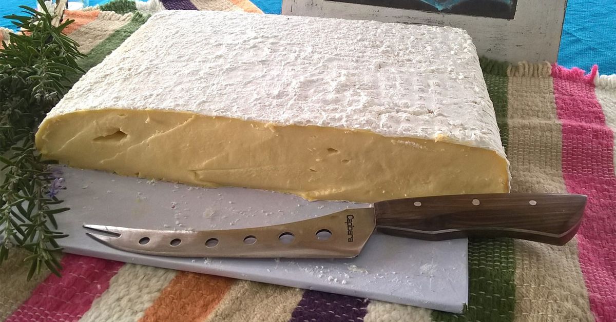 Cuál es la diferencia entre el queso cremoso y el queso mantecoso