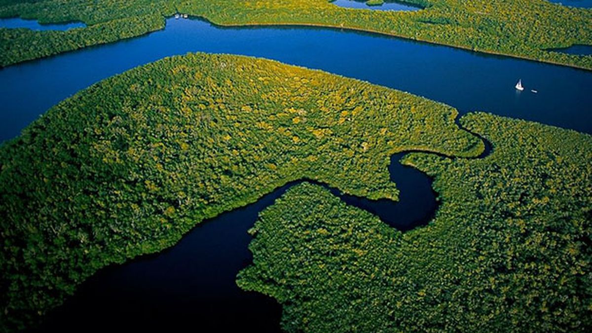 ¿Por qué Brasil construye una torre más alta que la Eiffel en medio del ...