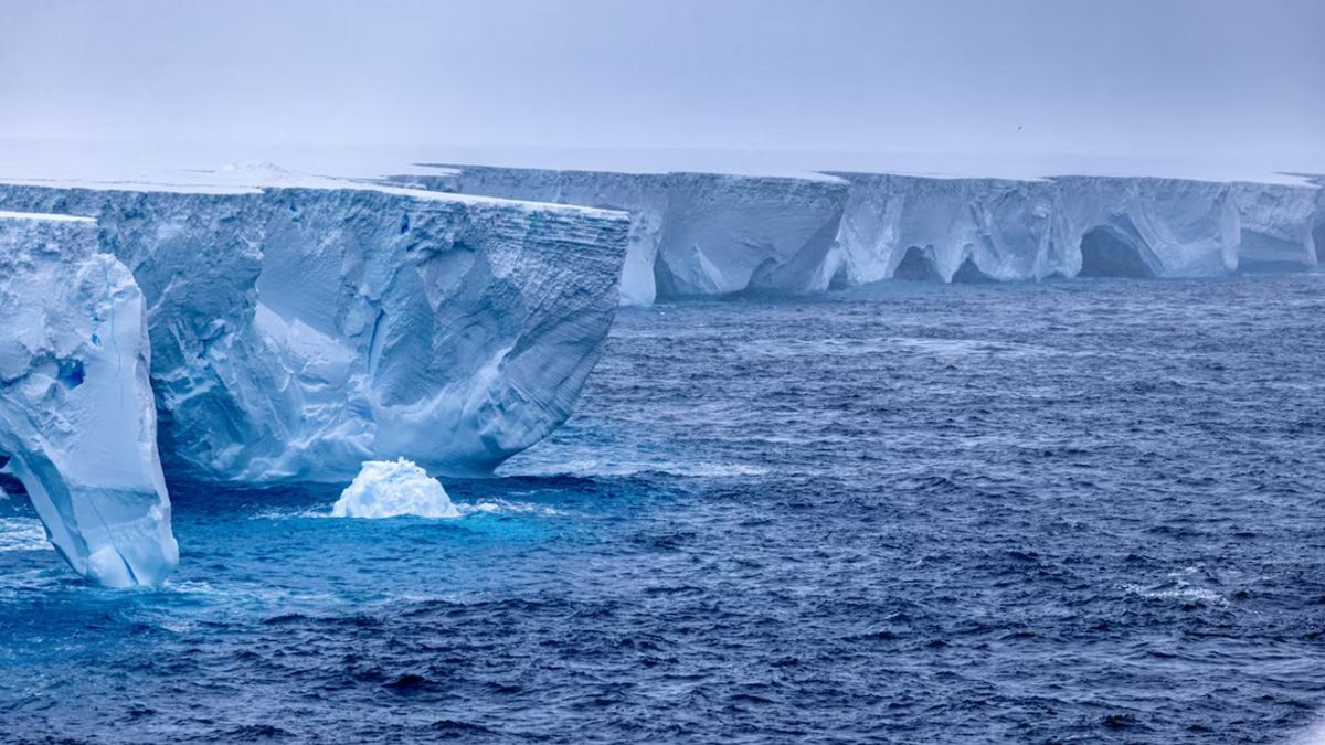 El iceberg más grande del mundo navega a la deriva: ¿qué puede pasar?