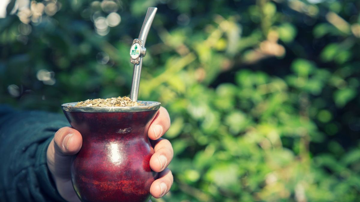 Qué pasa si tomo mate antes de irme a dormir