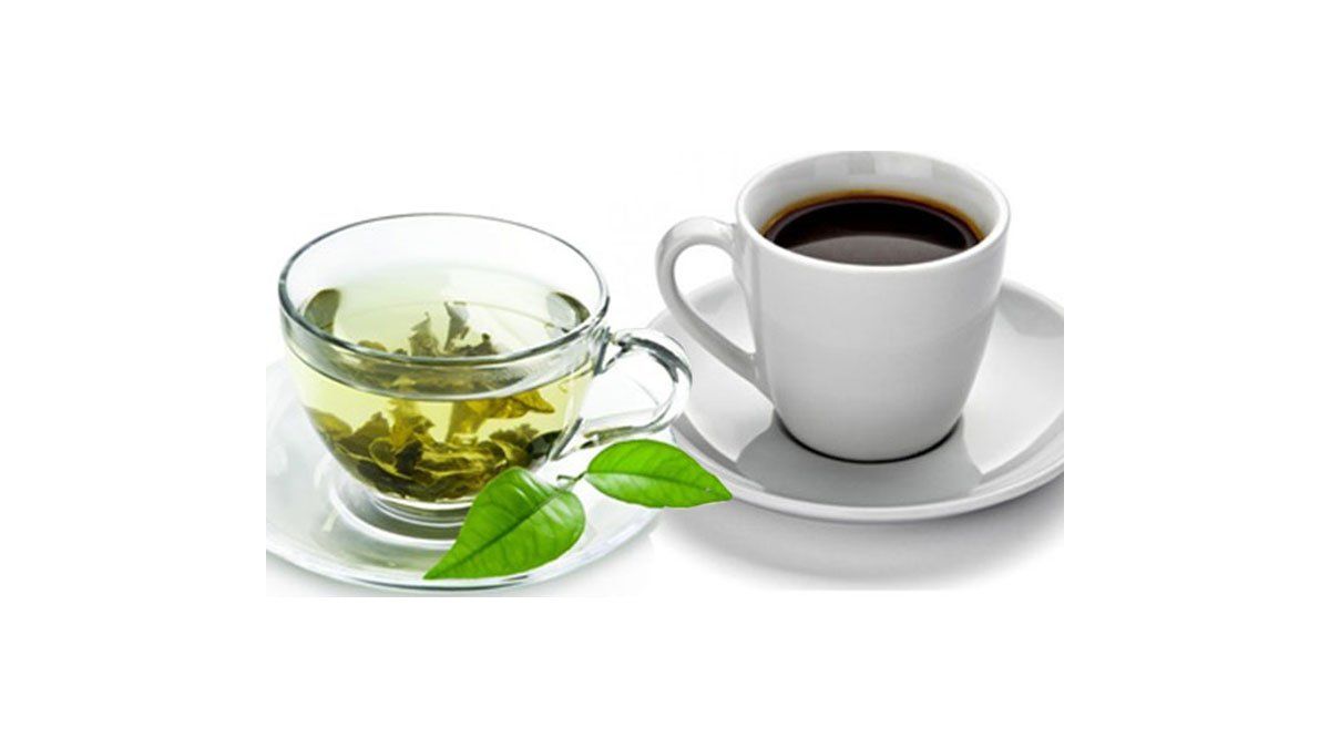 Té o café, ¿cuál es mejor para cada uno?
