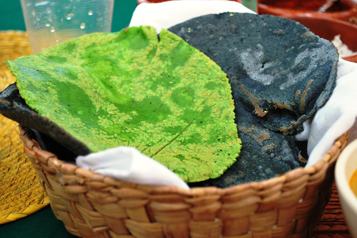 ¿Las tortillas de nopal son saludables, según una food coach?