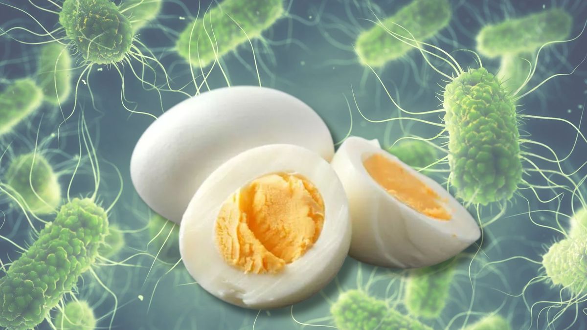 ¿Cuál es el tiempo exacto que debes hervir los huevos para matar la ...