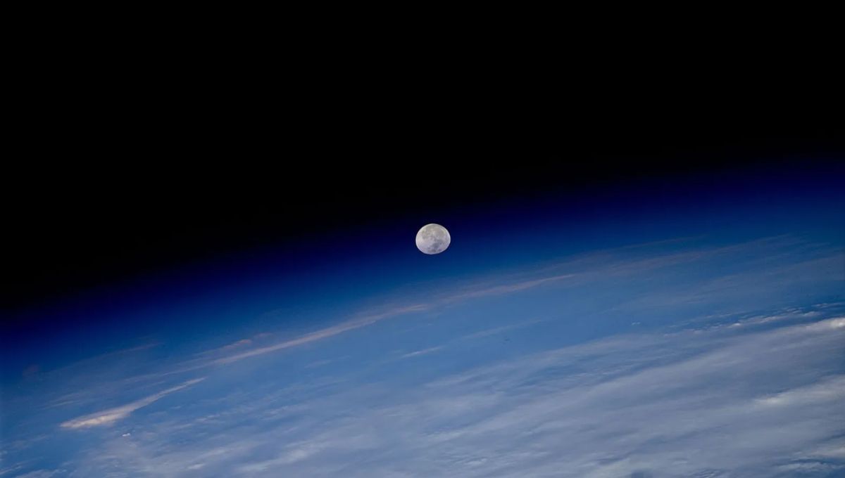 Cuál es el olor del espacio: un astronauta lo revela y la NASA lo ... Cuál es el olor del espacio: un astronauta lo revela y la NASA lo ...