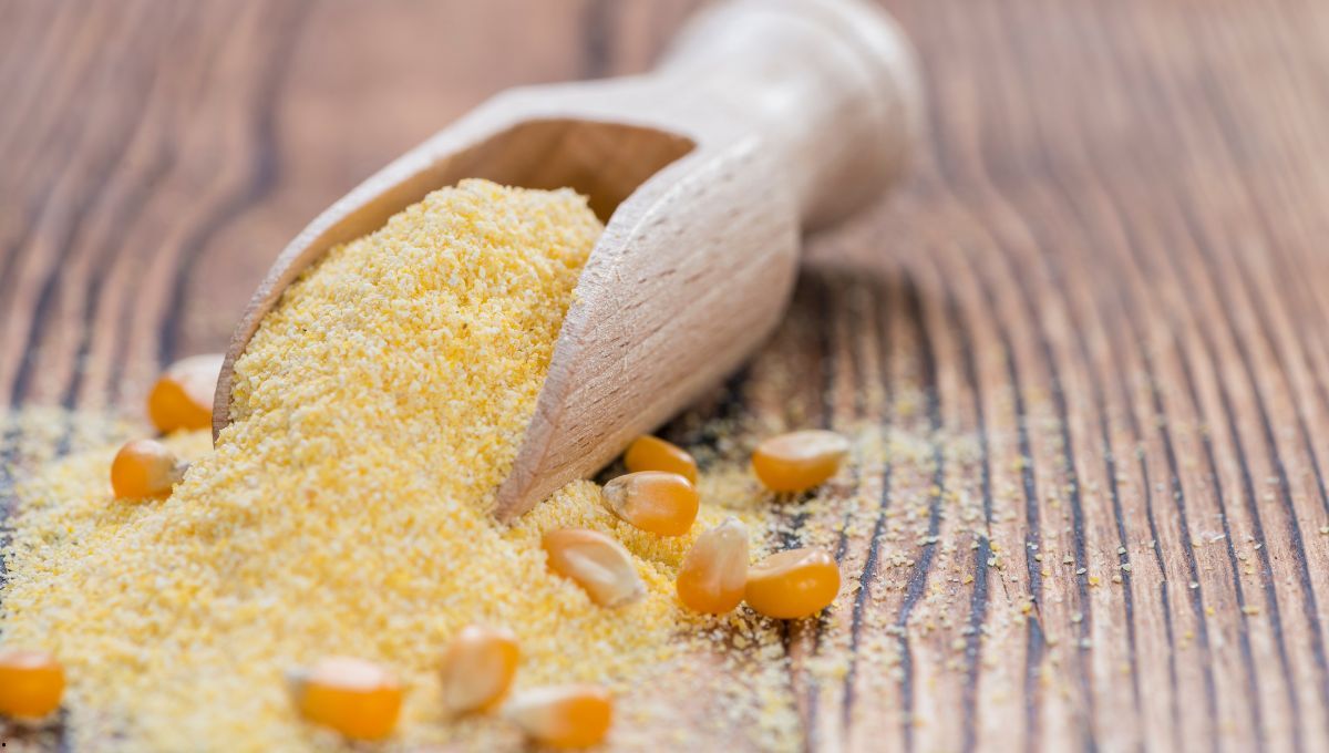 En qué se diferencian la maicena, la polenta y la harina de maíz