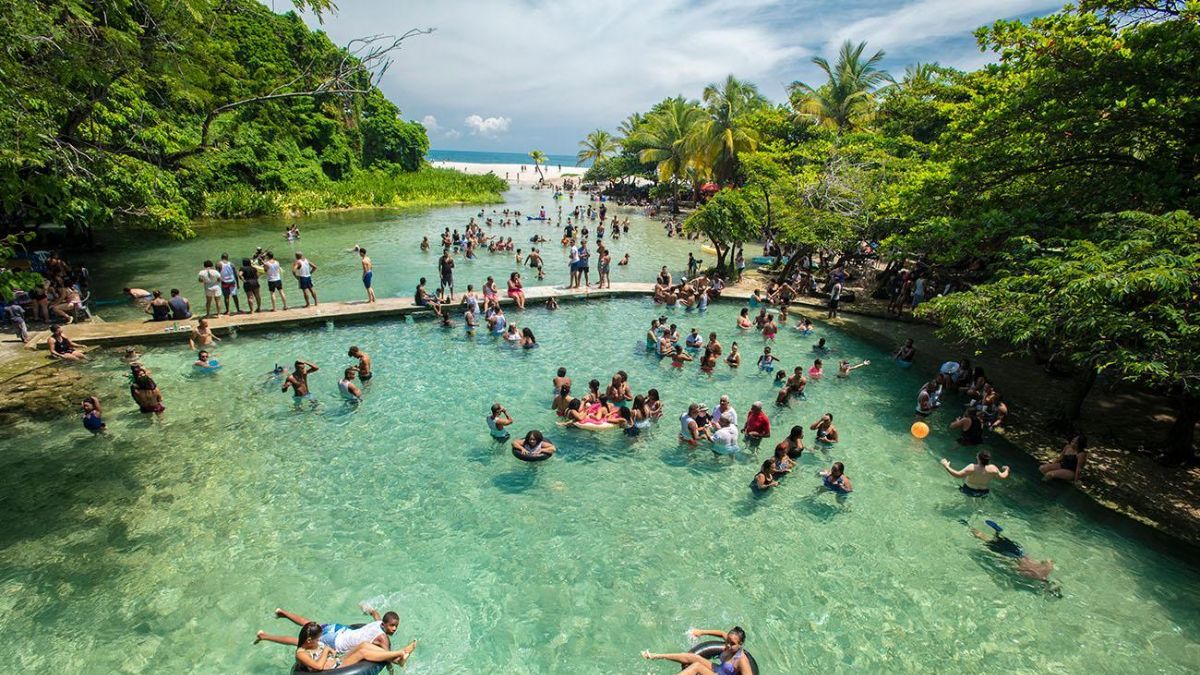 El río más transparente del planeta Tierra está en el Caribe: con aguas ...