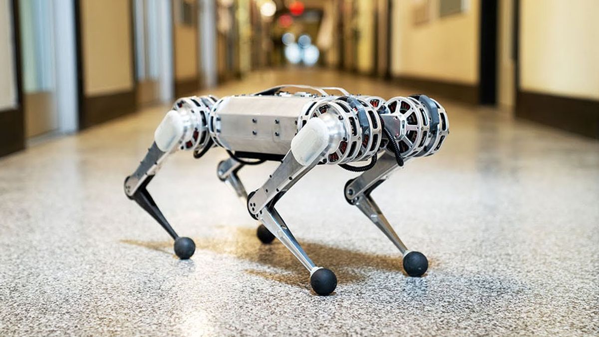 Mini Cheetah: la mascota de Terminator ya está entre nosotros