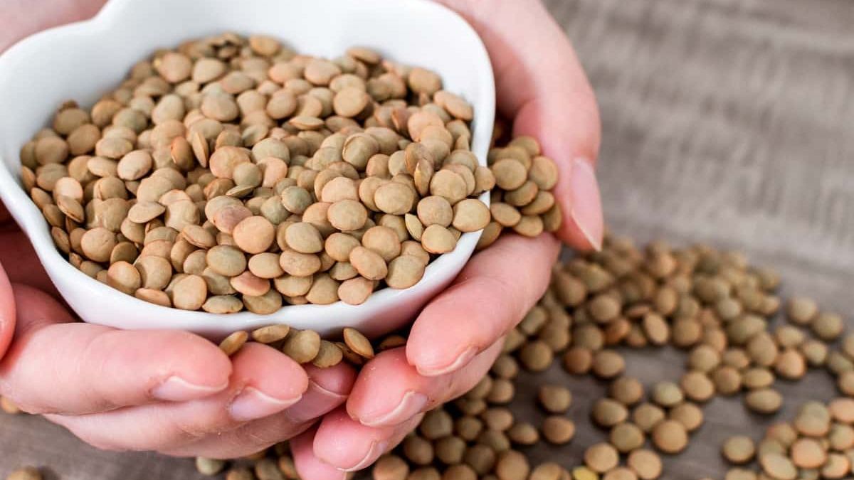 Beneficio de comer lentejas