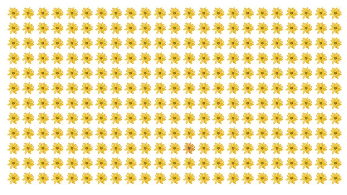 Acertijo visual: encuentra la flor diferente en menos de 7 segundos