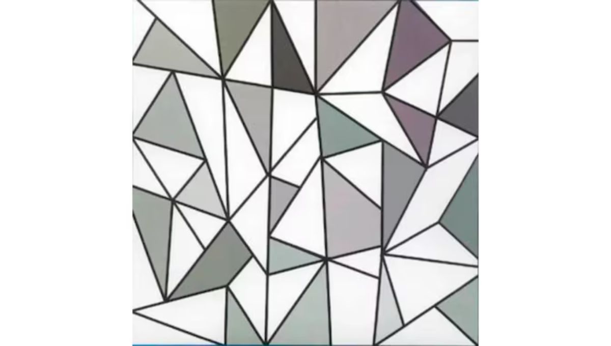 Acertijo visual: solo las personas con vista de halcón podrán encontrar ...