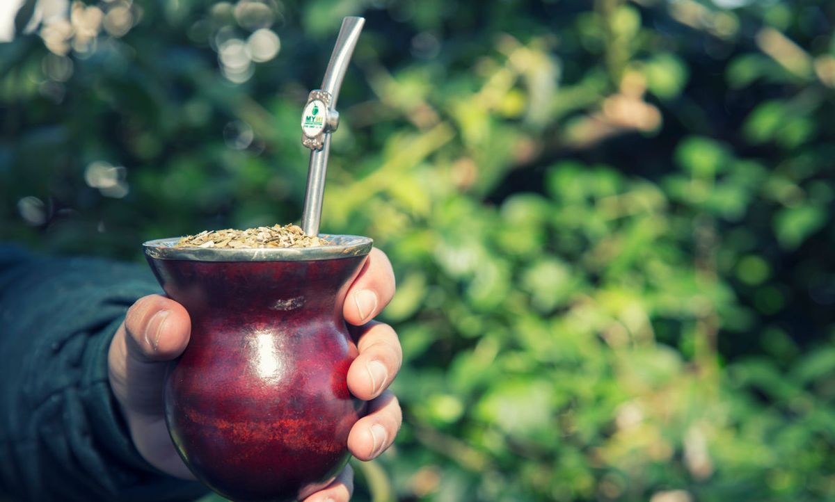 Beneficios de tomar mate