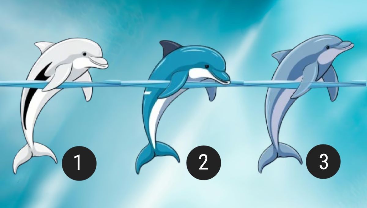 Test de personalidad: elige un delfín y descubre qué tipo de ...