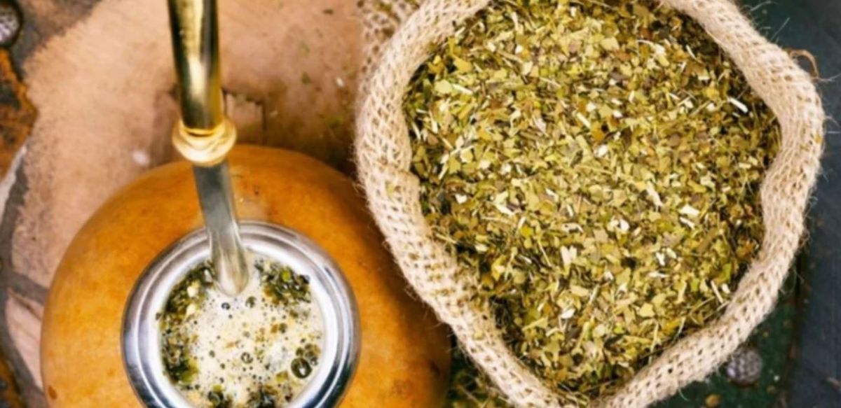 Beneficio de tomar mate con coco