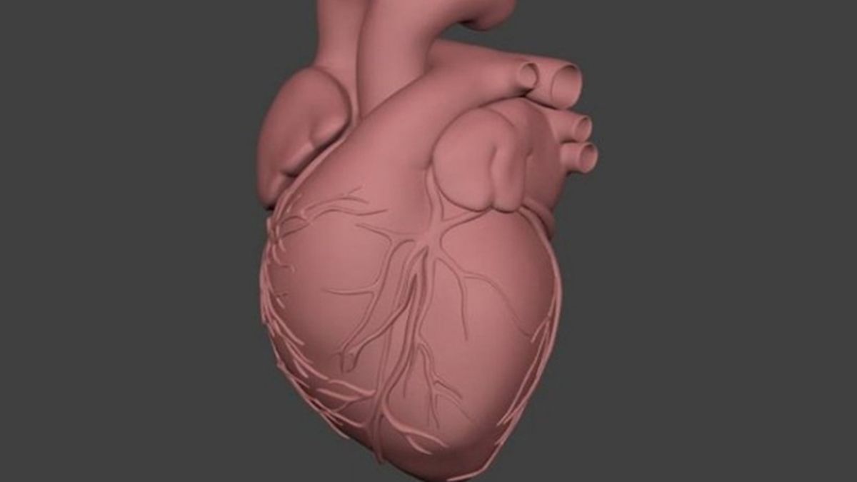 La impresión en 3D apunta al corazón