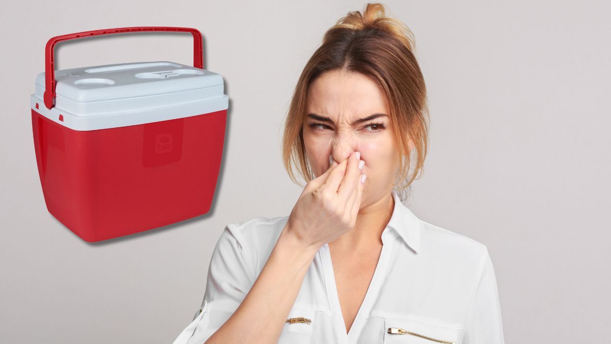 Cómo limpiar la heladerita o conservadora para que no acumule olor feo