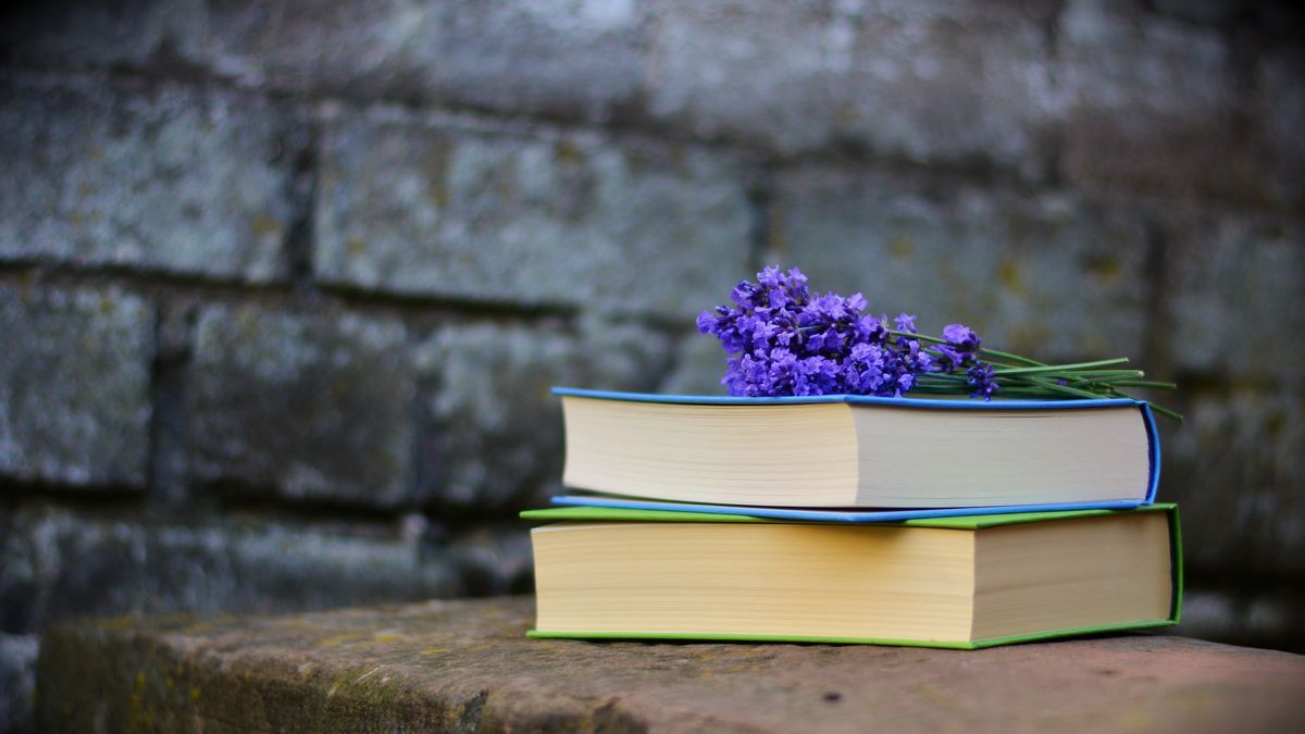 Libros recomendados: 5 lanzamientos para todos los gustos