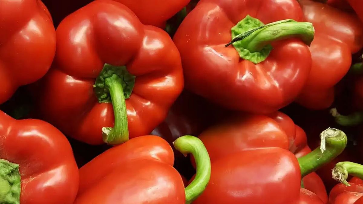 Beneficio de comer pimiento morrón, poderosa fuente de vitamina C