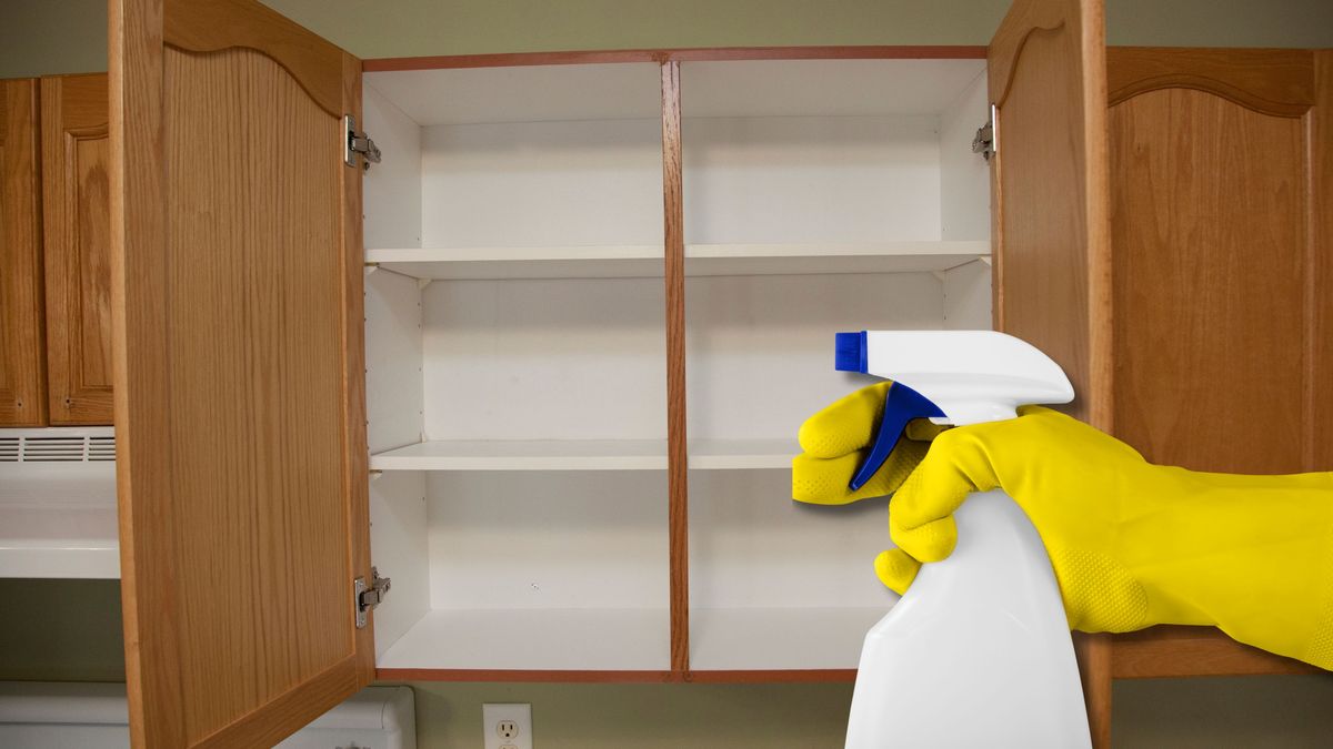 Te explico por qué deberías rociar vinagre en la alacena de la cocina ...