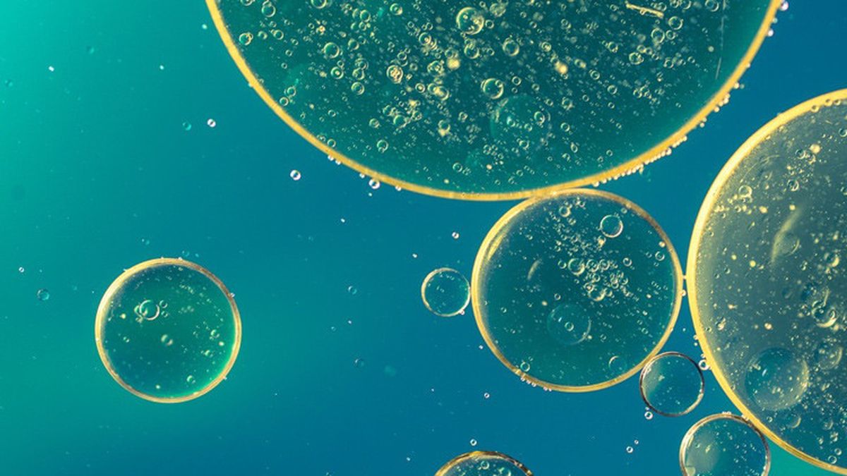 Así aparecieron las primeras células vivas en la Tierra