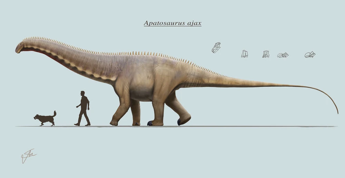 El dinosaurio más grande jamás subastado alcanza un récord histórico