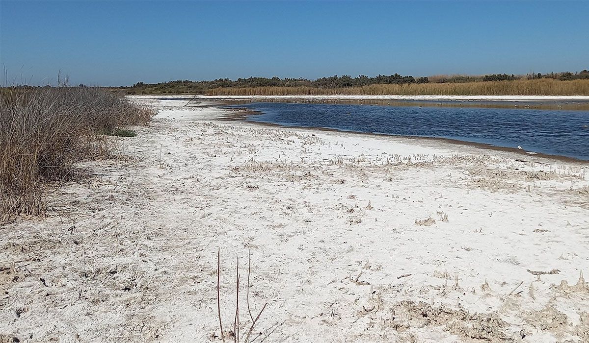 La Laguna del Viborón presenta mínimos históricos de nivel: Está casi ...
