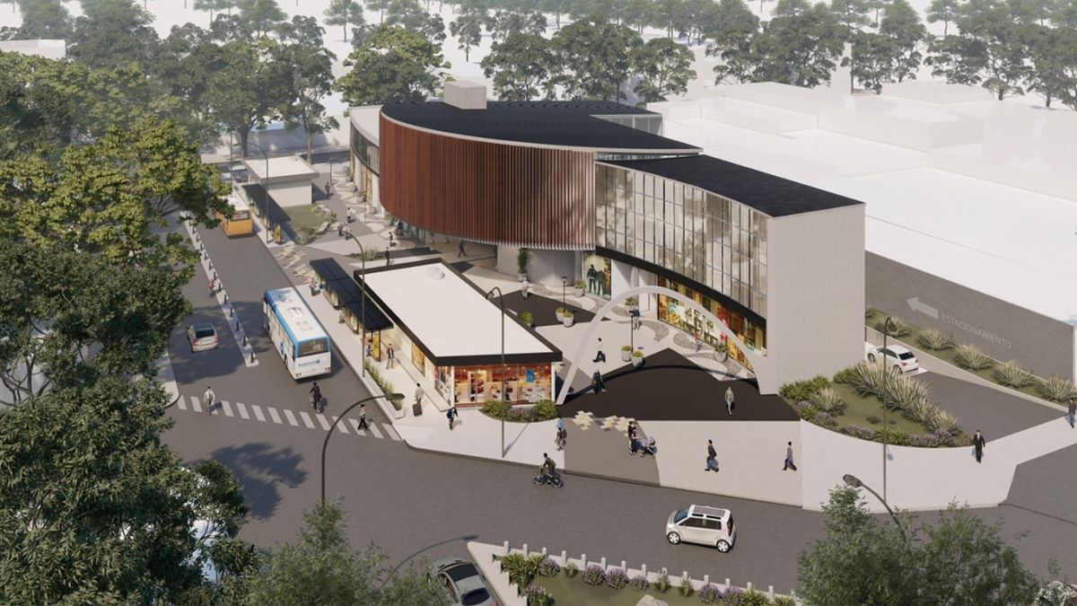 Video: Emir Félix anunció que el 3 de abril arranca la renovación de la ...