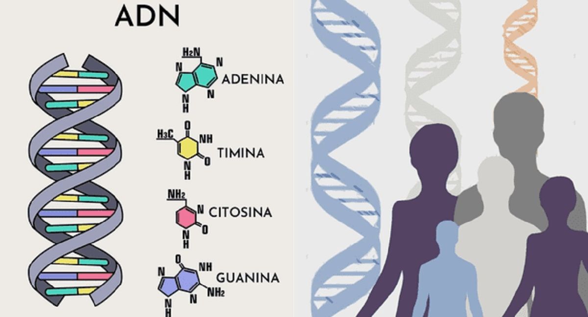 25 de abril: ¿por qué se celebra hoy el Día Internacional del ADN?