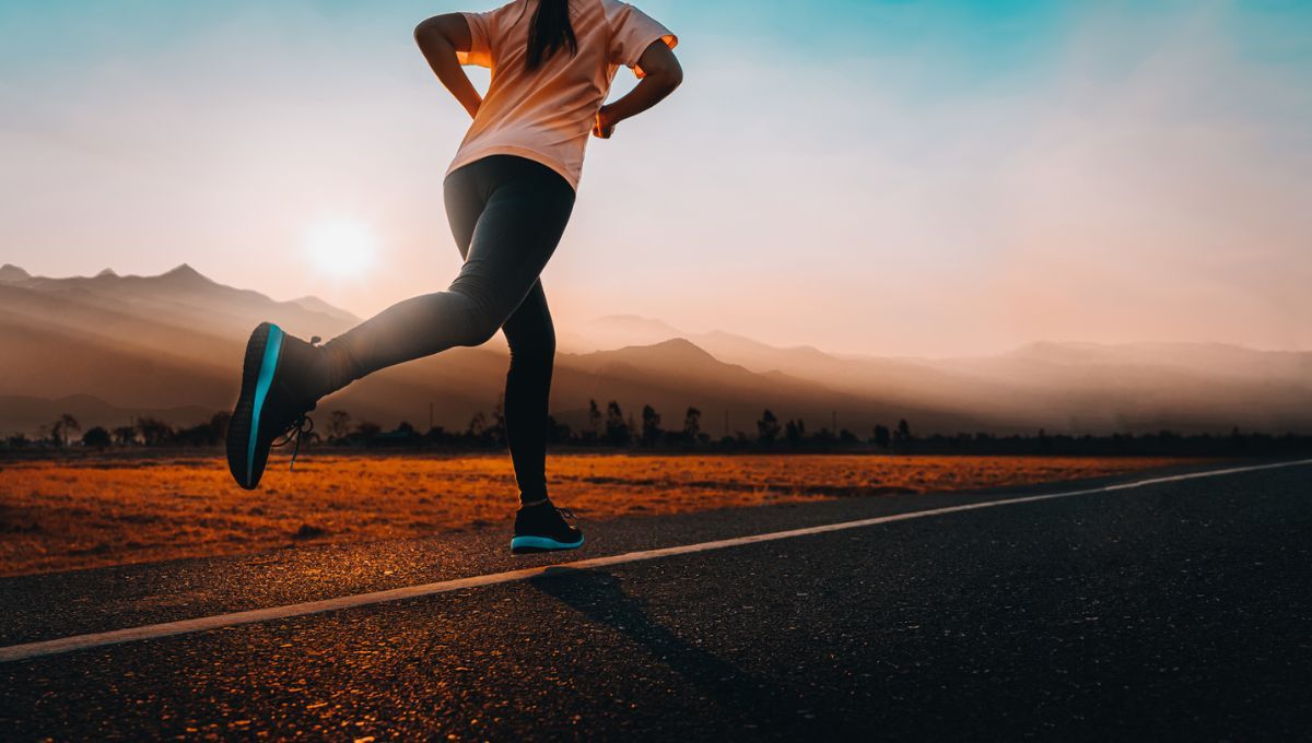 Cuál es la diferencia entre la palabra rápido y veloz según la RAE ...