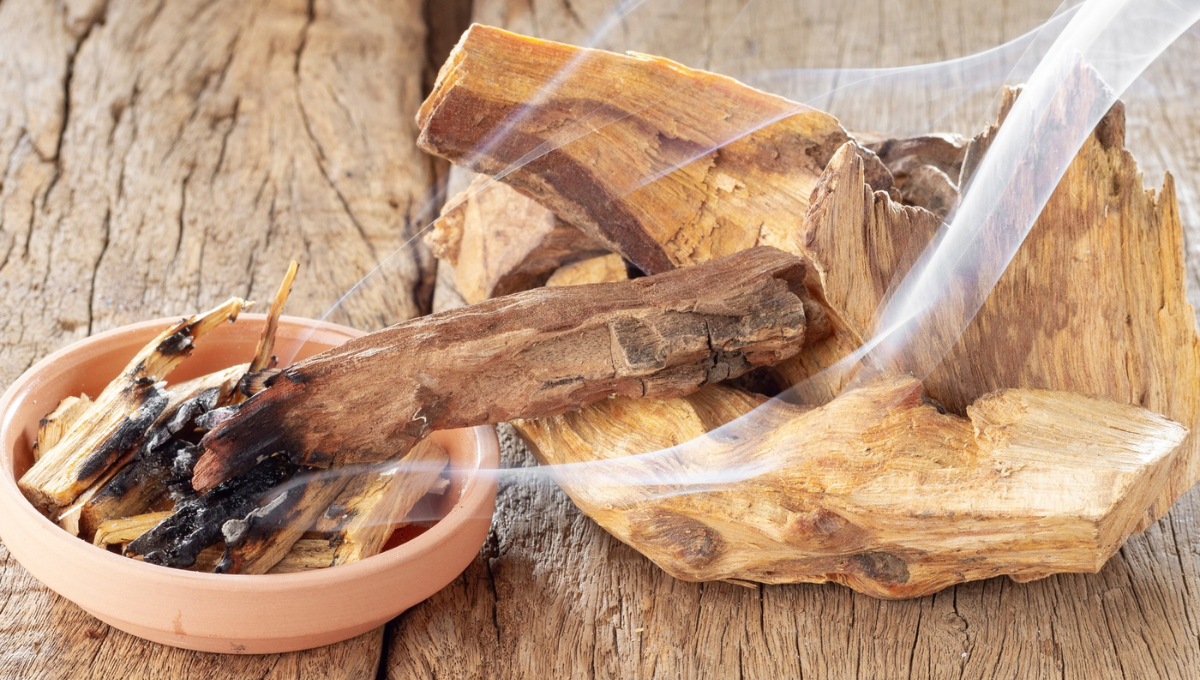 Así se debe usar el palo santo según el Feng Shui