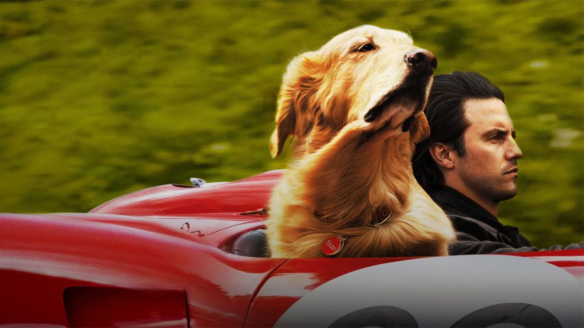 Netflix: acaba de estrenar una película de comedia y drama que es una catarata de emociones