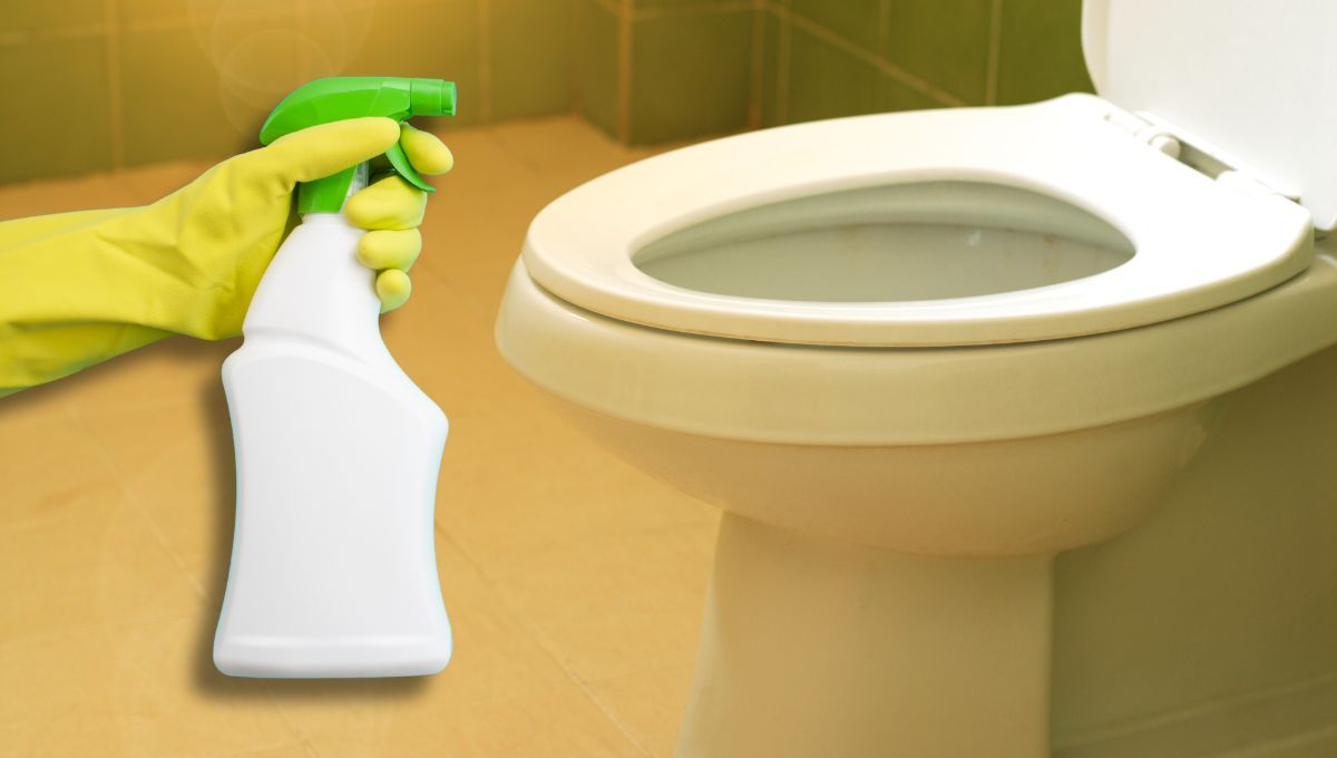Cómo desinfectar el baño y dejarlo impecable sin usar químicos nocivos