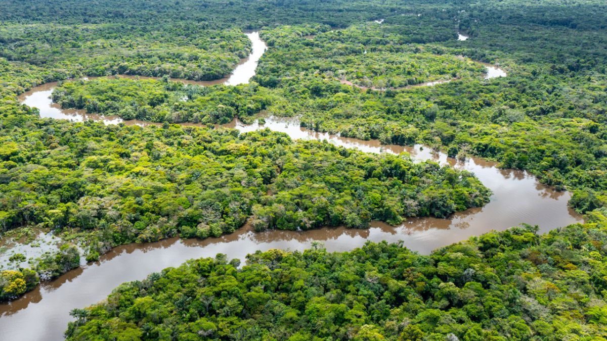 Descubrimiento de una ciudad perdida en el Amazonas deja sin palabras a ...