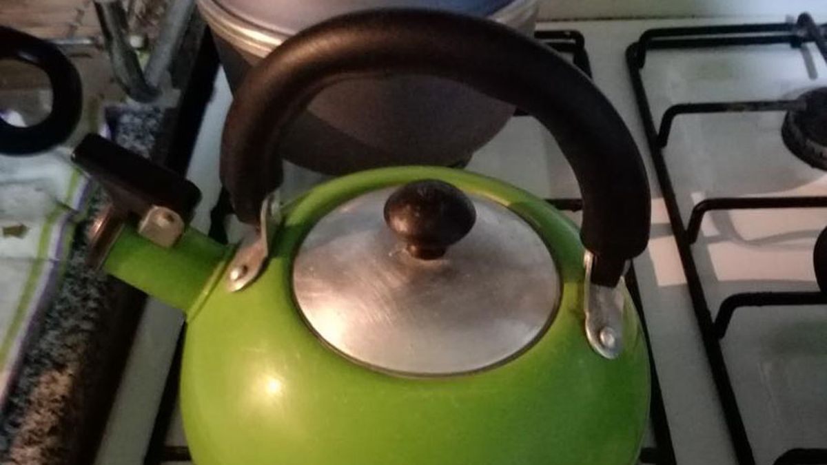 El insólito tuit de una mendocina sobre una pava que se volvió tendencia