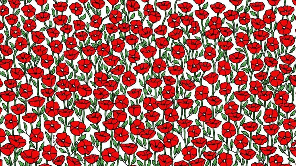 Solo un GENIO con vista de HALCÓN puede encontrar el CANGREJO OCULTO en ...