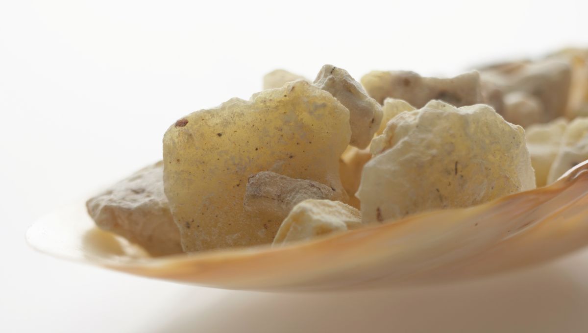 Aztecas: por qué quemaban copal y qué significado tiene este ritual