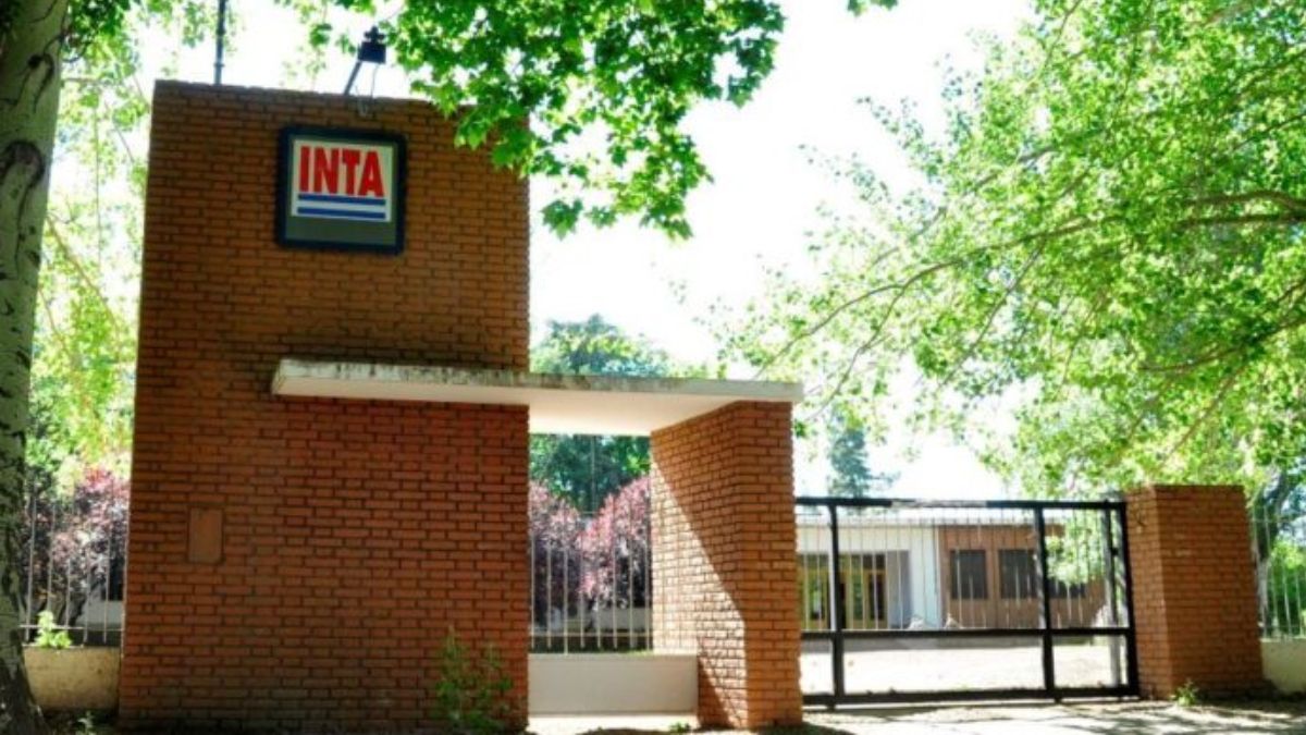 Incertidumbre en INTA por el ajuste y fusión con el INTI que quiere ...