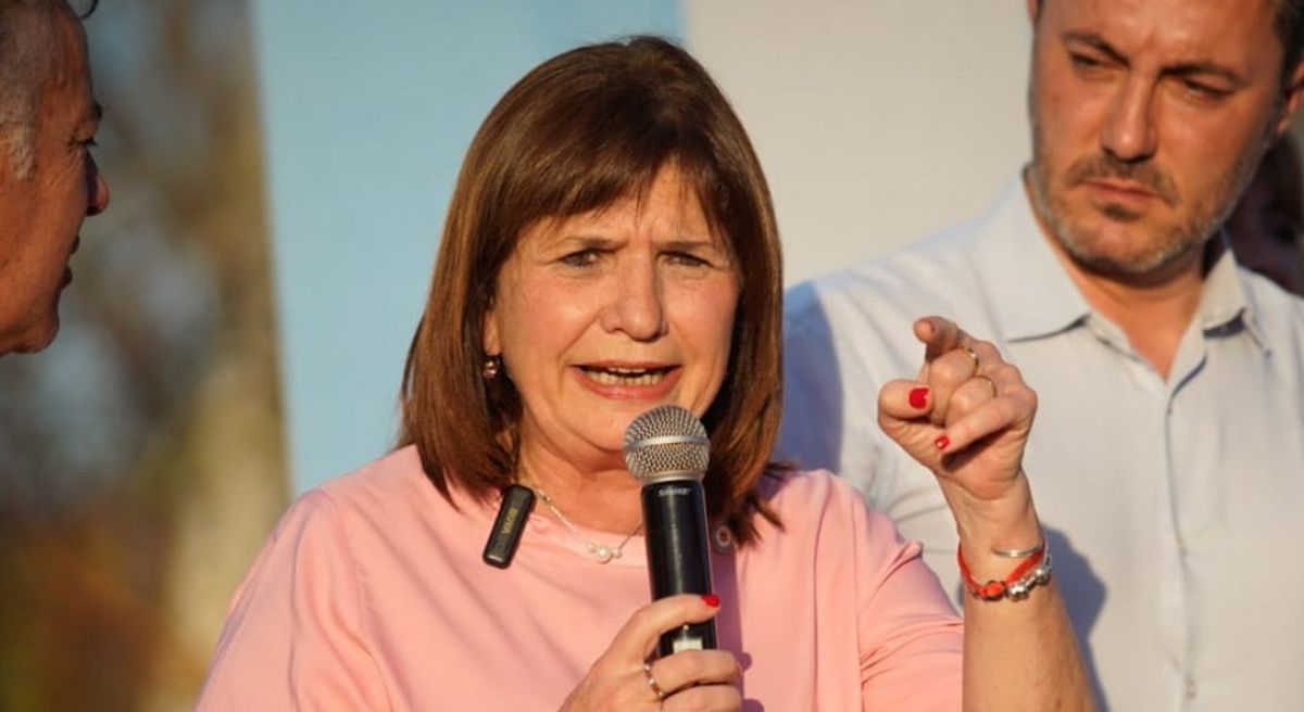 Patricia Bullrich: Si se pierde el control, el Gobierno tiene que pedir ...