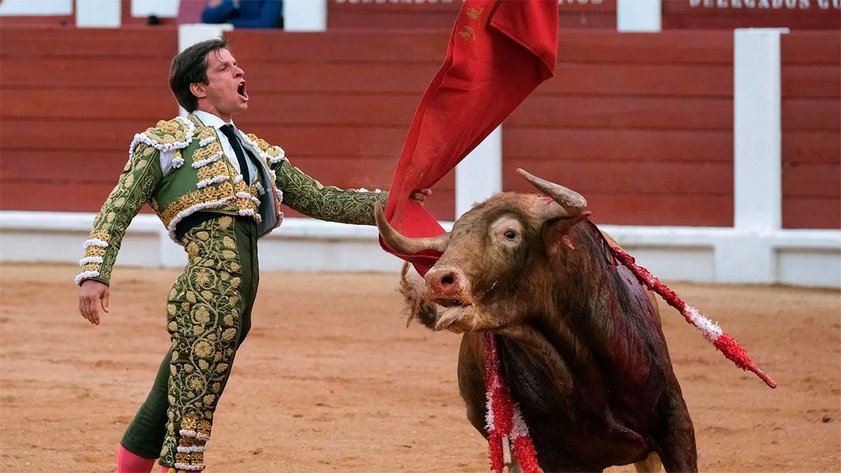 ¿Es verdad que los toros odian el color rojo? La respuesta sobre este ...