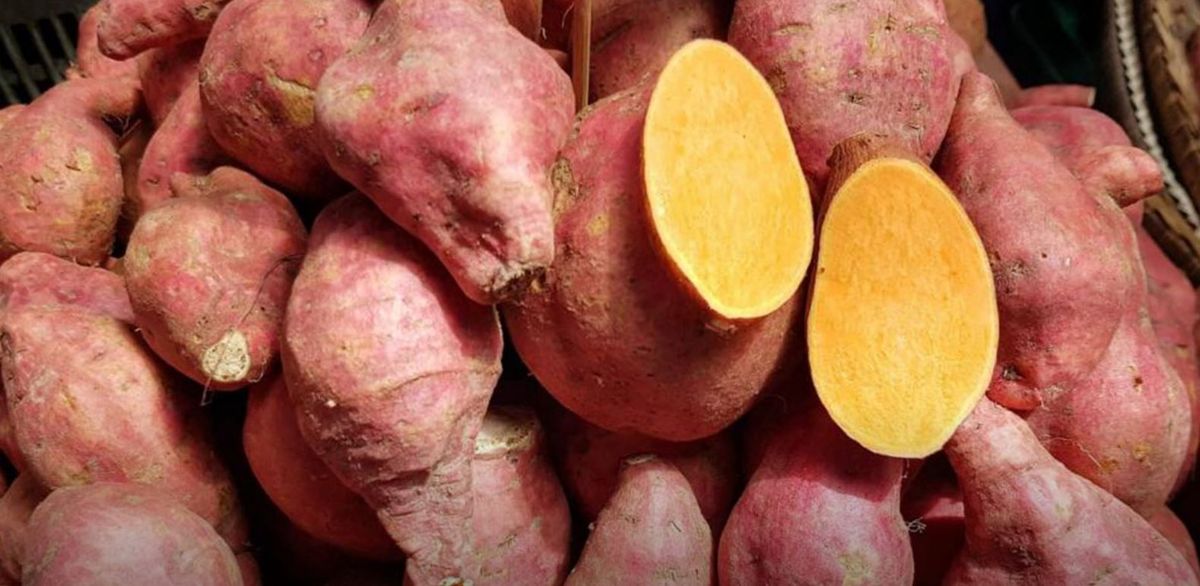 Beneficio de comer camote