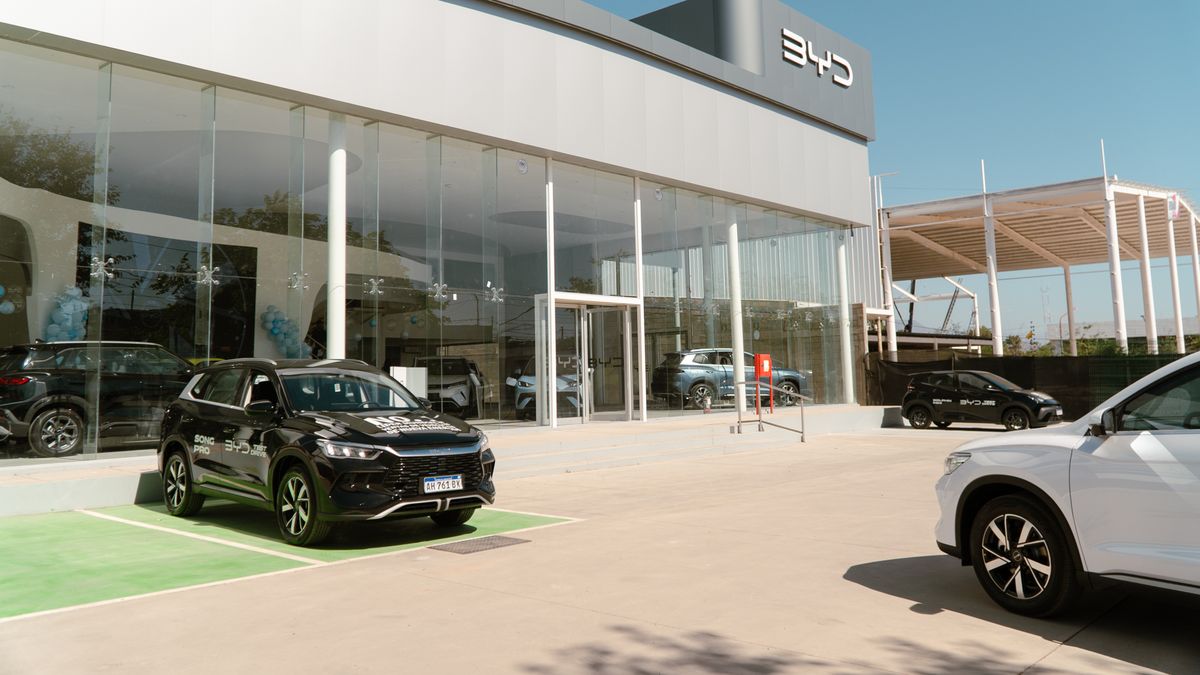 BYD Yacopini concesionario oficial: el futuro de la movilidad eléctrica ...
